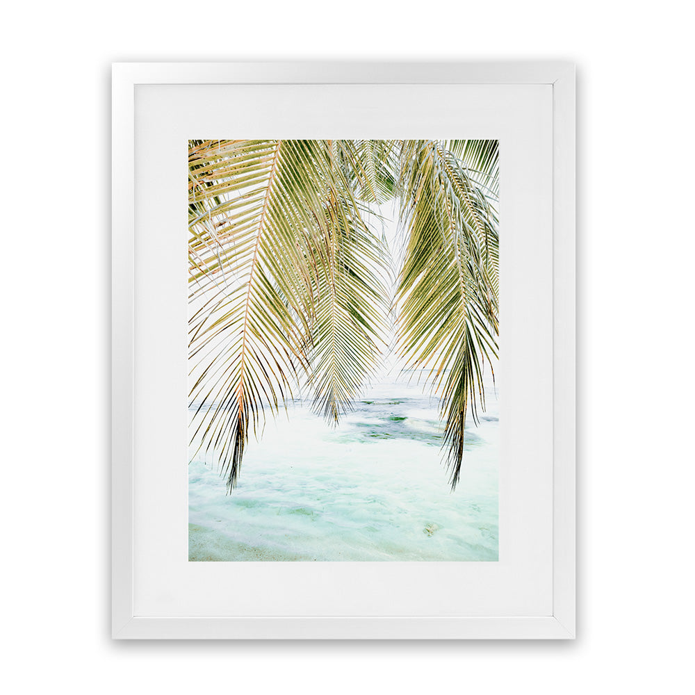 Buy Palm Shade Photo Art Print | The Print Emporium®