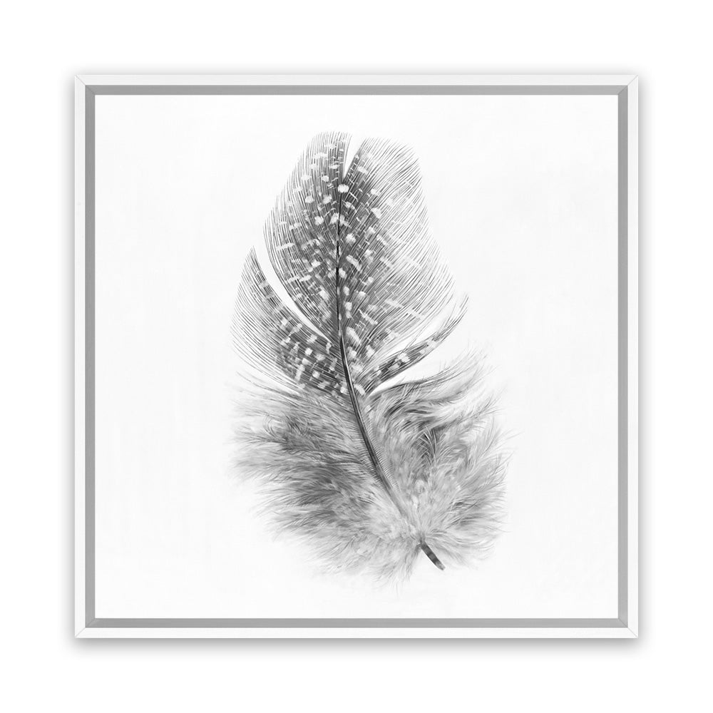 Buy Feather Square Canvas Wall Art Print | The Print Emporium® Store