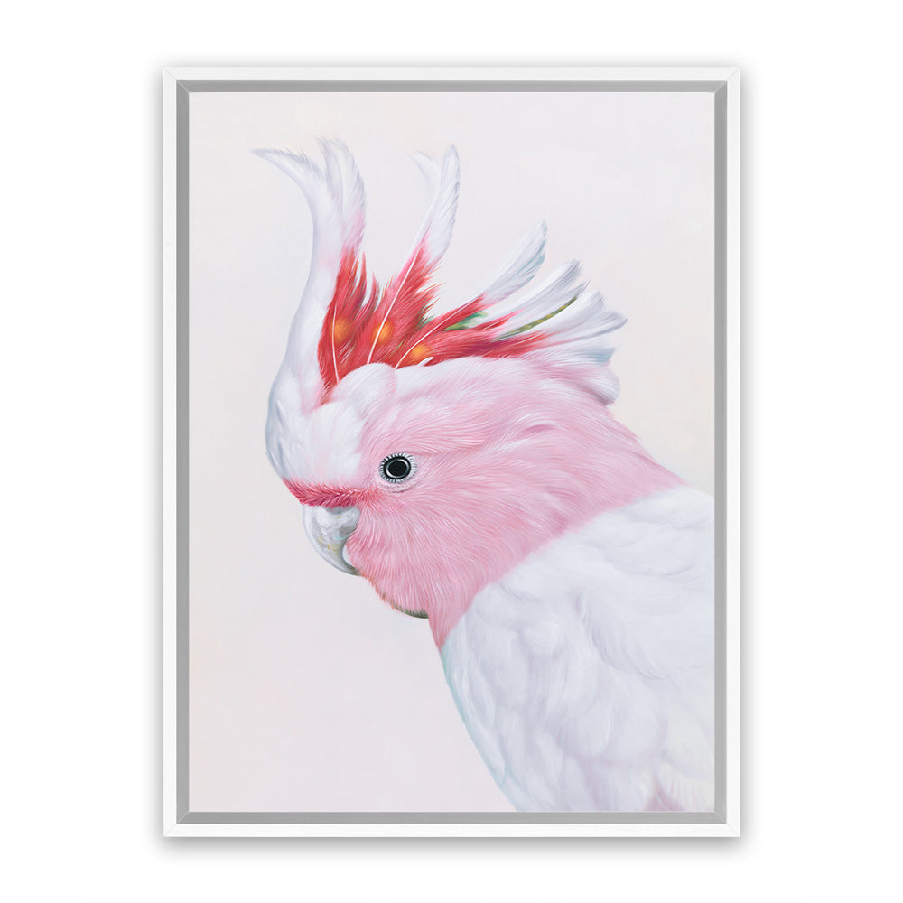 Buy Matilda The Major Mitchell Cockatoo Canvas Wall Art Print | The ...