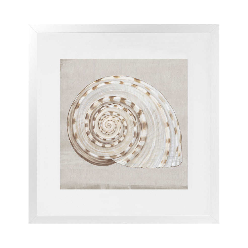 Buy Neutral Shells I Square Wall Art Print | The Print Emporium®